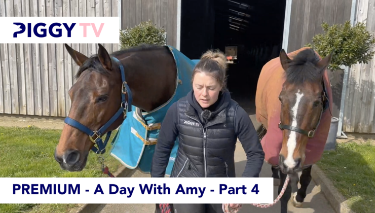 A Day With Amy - Part 4 | Piggy TV