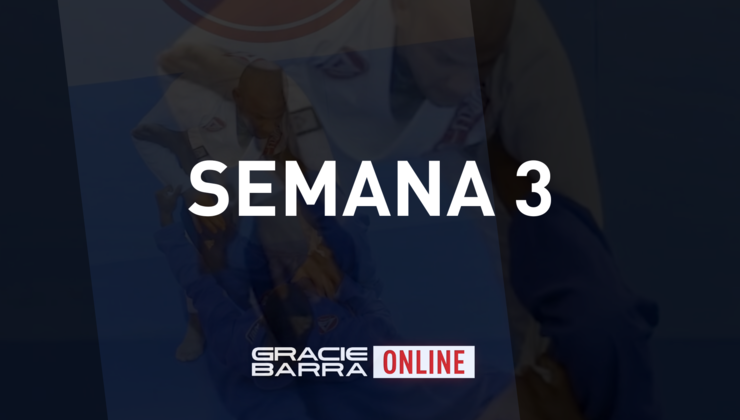 Plano de Aula semanal - Semana 3