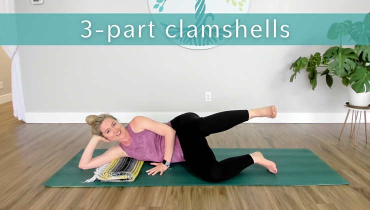 3-Part Clamshell Sequence