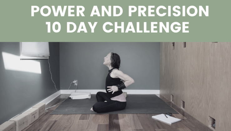 Precision Ten Day Challenge | The Elevate Practice