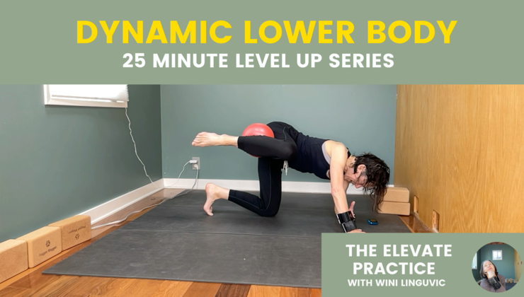 Dynamic Lower Body | The Elevate Practice