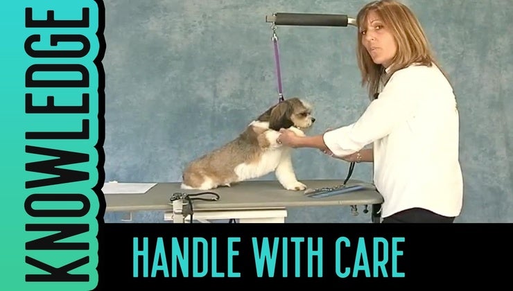 Jodi Murphy's Handle With Care Positioning & Grooming Video | Jodi ...