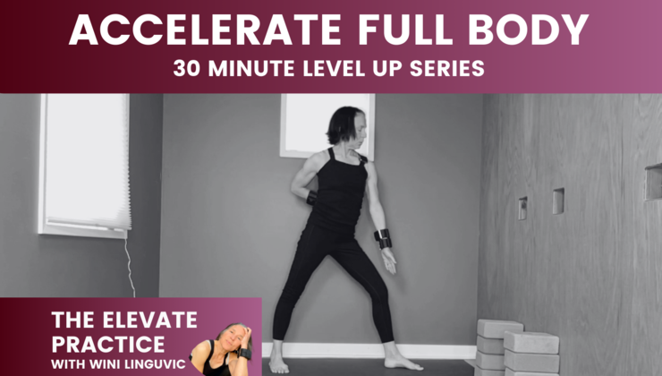Accelerate Full Body Series | The Elevate Practice