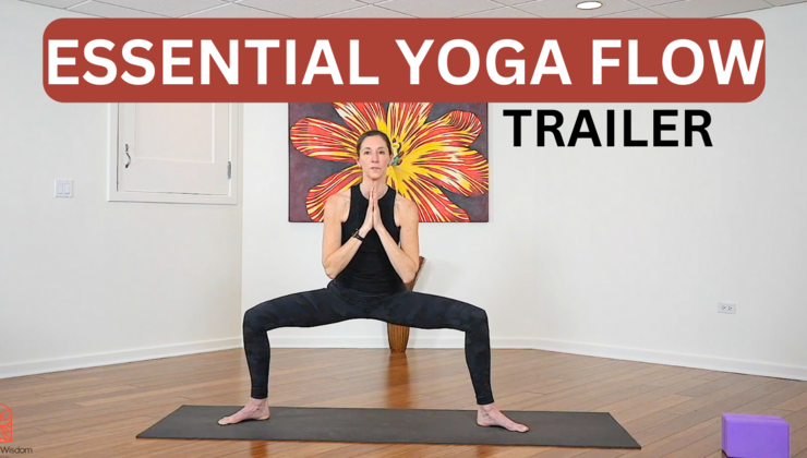 Essential Yoga Flow Trailer | Body Of Wisdom Yoga