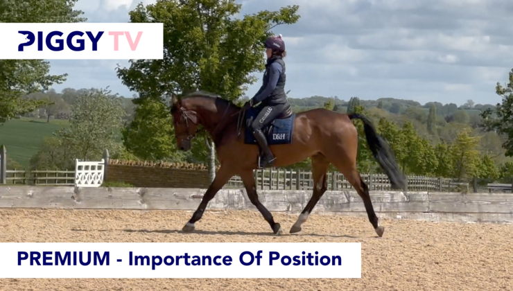 Importance Of Position | Piggy TV