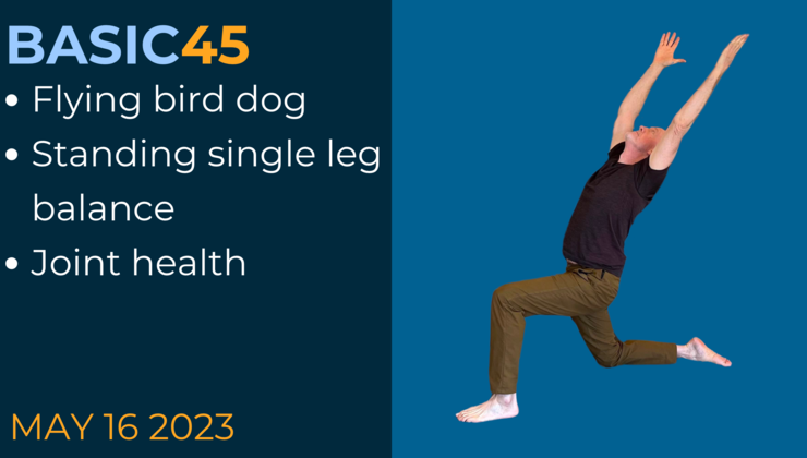 Warm-up range-of-motion exercises, weight bearing in table top, flying ...