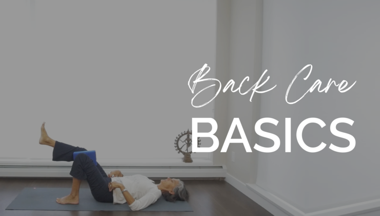 Back Care | Basics