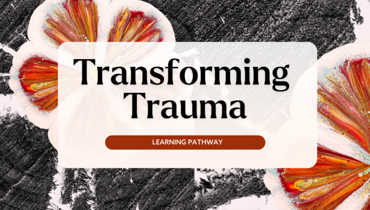 Transforming Trauma Learning Pathway