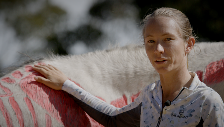 Introduction to Tori Jeffress & Kingston