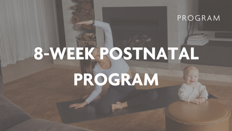 8 WEEK POSTNATAL PROGRAM
