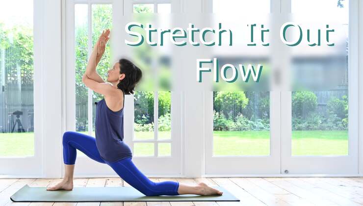 Stretch It Out Flow #113