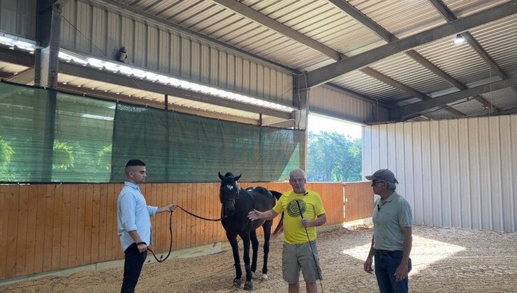 Halter Lesson with Steve Heathcott & Omar | Michael Byatt Equestrian ...