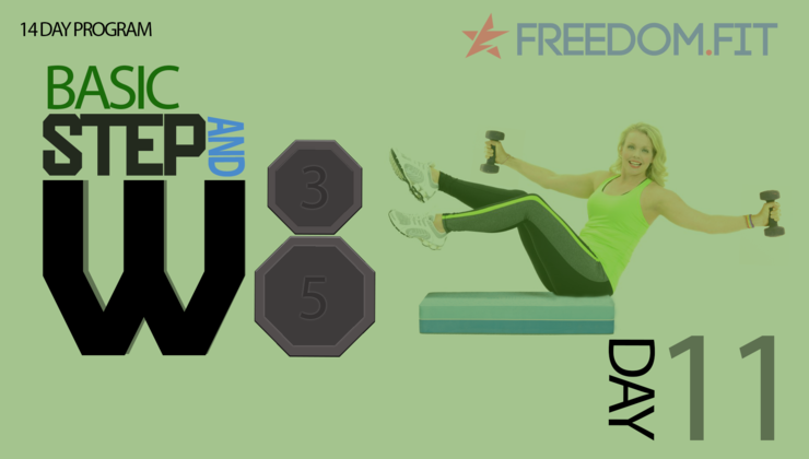 11 Basic Step and Weights 14 Day Program fitness cardio step aerobices ...