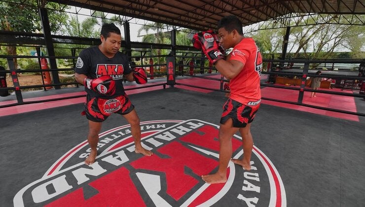 Low Kick Trick - Intermediate Technique