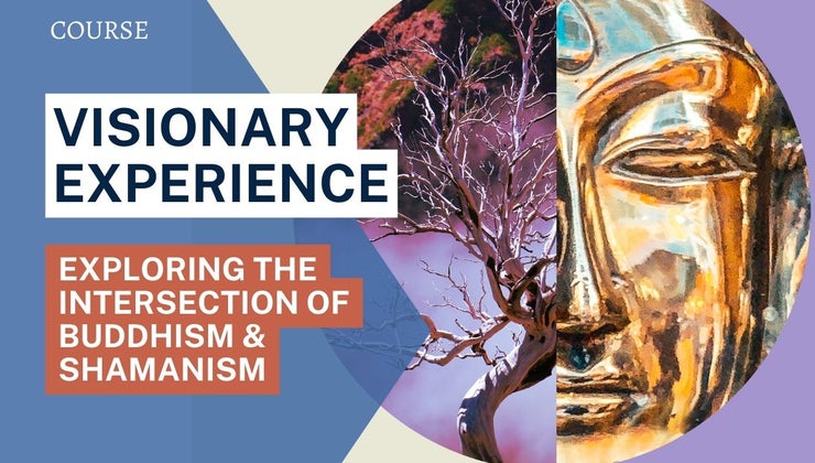 Visionary Experience