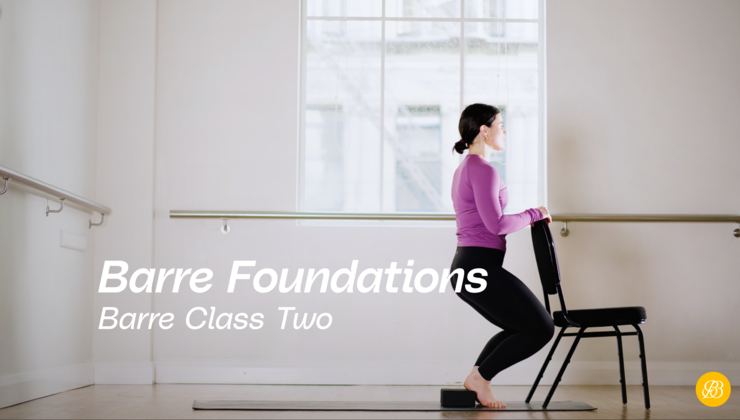 Barre Foundations - Barre Class 2 | Barre Base Anywhere