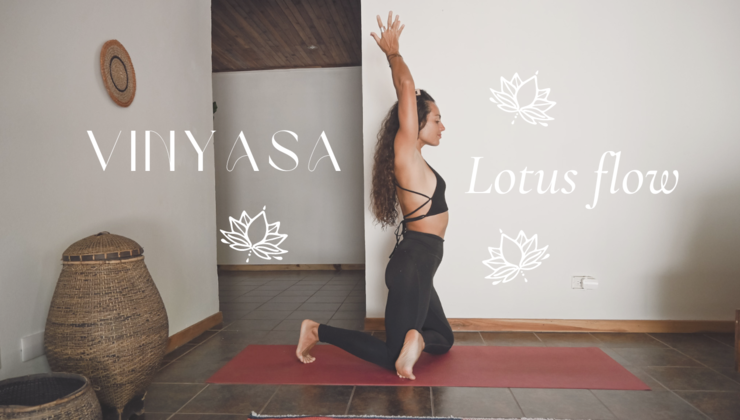 Lotus Flow | ALYA - Le studio