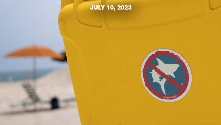 Sharks out in force - Phoenician shipwreck - Prayer book di | WORLD Watch