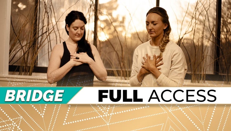 Bridge Full Training