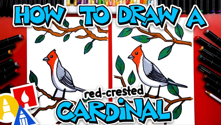 How To Draw A Red-Crested Cardinal
