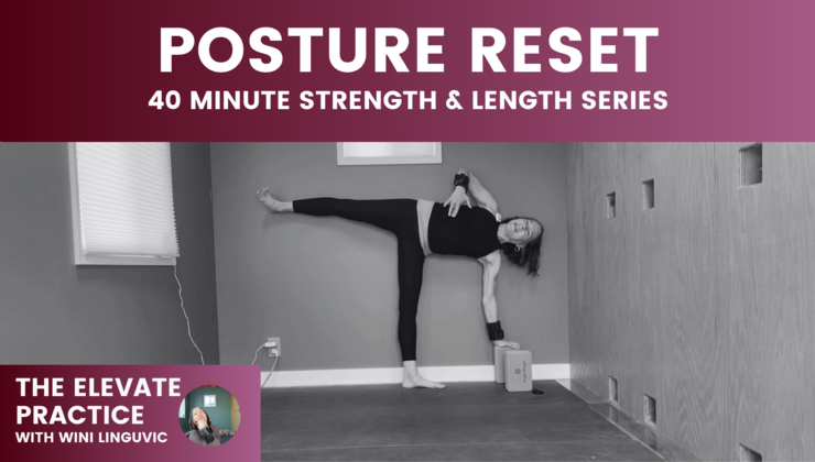 Posture Reset | The Elevate Practice