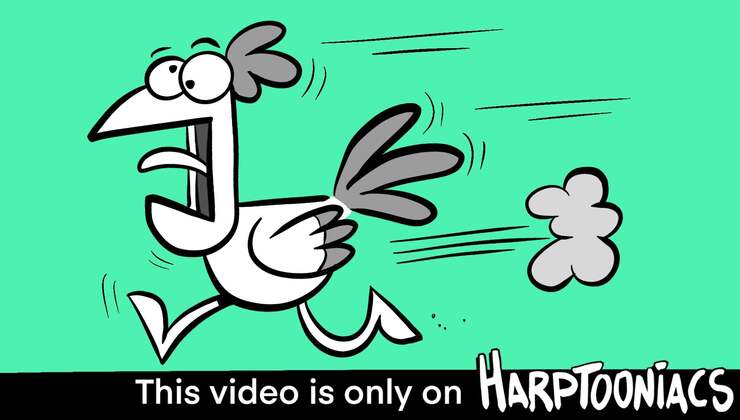 Learn how to draw “Coo Coo” Chicken | Harptooniacs