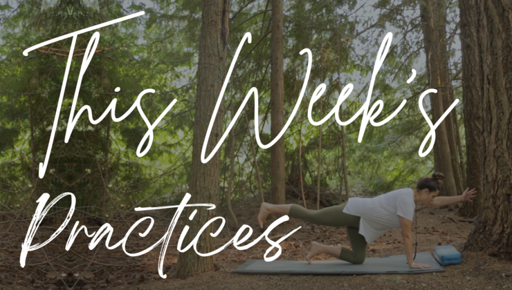 This Week's Practices