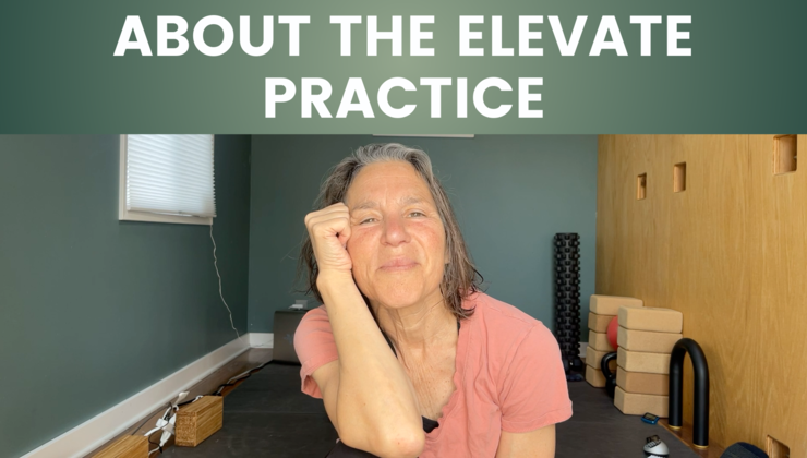 About The Elevate Practice | The Elevate Practice