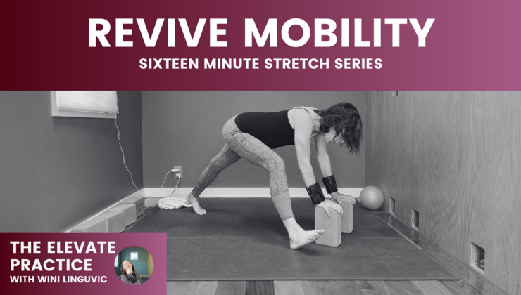 Revive Mobility