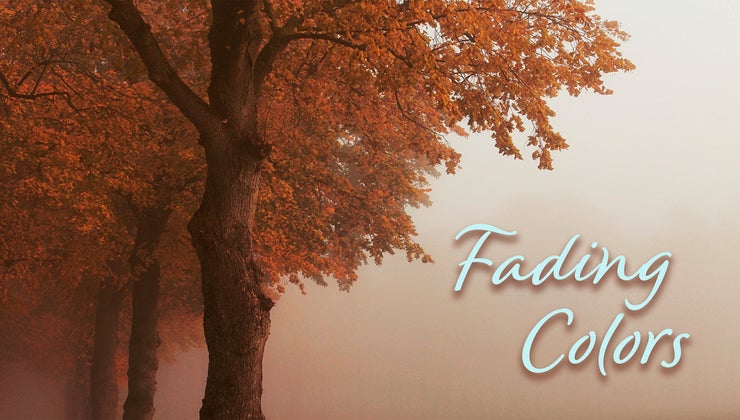 Fading Colors | Andrew's Den