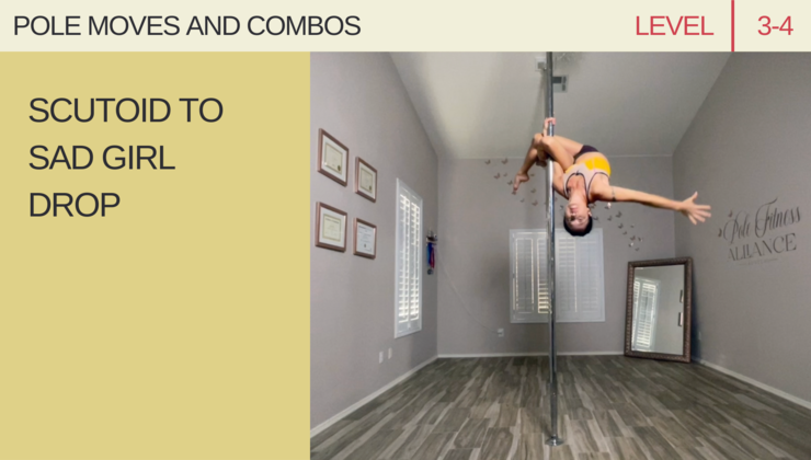 Scutoid To Sad Girl Drop