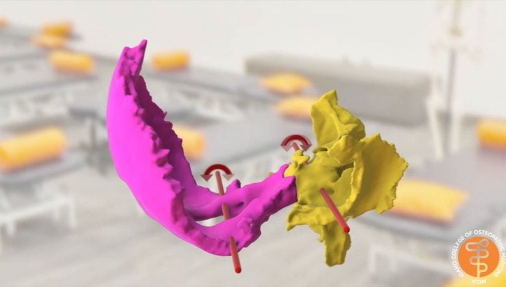OCMM Normal Cranial Motion | OMT Video Library