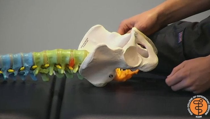 Anterior Innominate Rotation ME | OMT Video Library