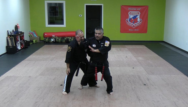 Techniques with Sibora Chan
