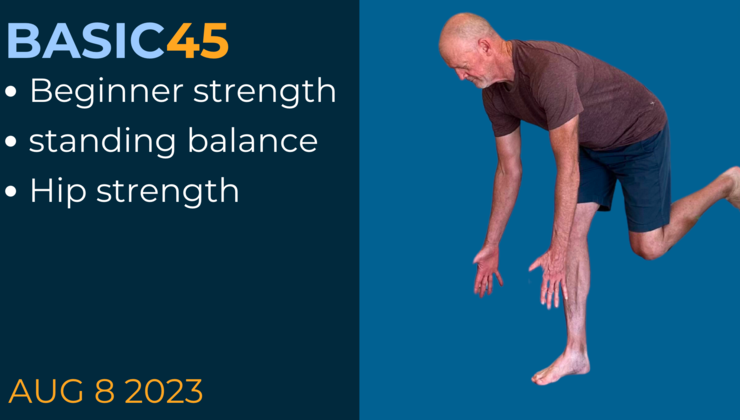 BASIC45 : beginner strength exercises on the floor. Standing hip ...