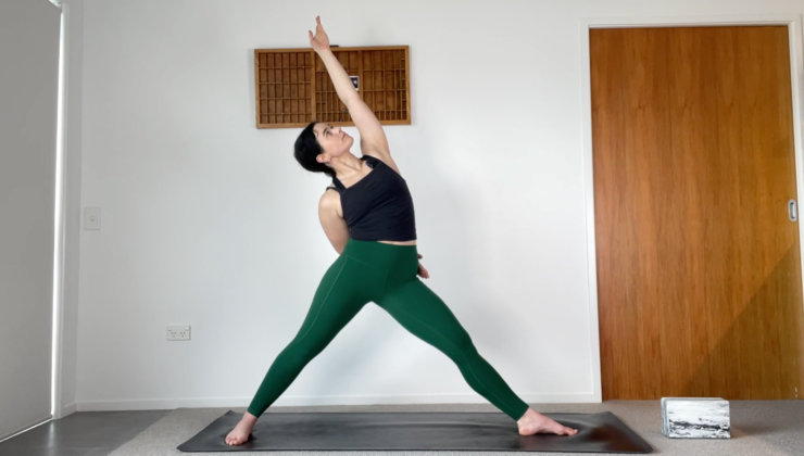 Class of the Week - Dynamic Vinyasa Flow, Half Moon | Barre Base Anywhere