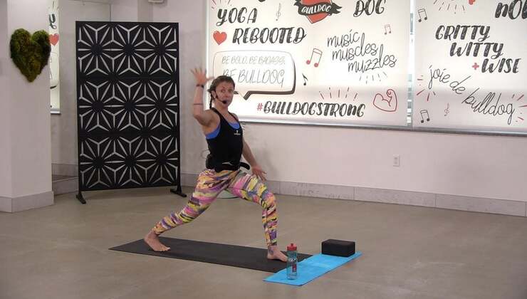 Bulldog Beginner Yoga - Stream Beginner Yoga Classes At-Home