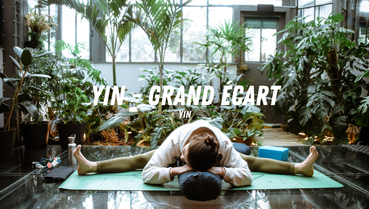 Yin pour le grand écart