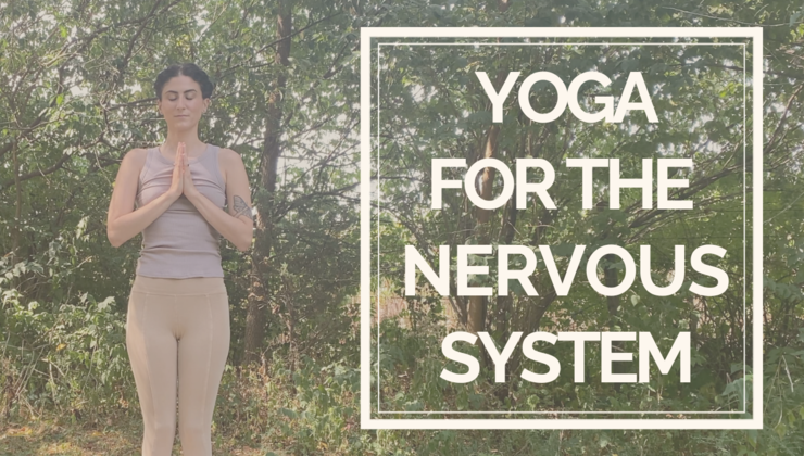 Yoga for the Nervous System