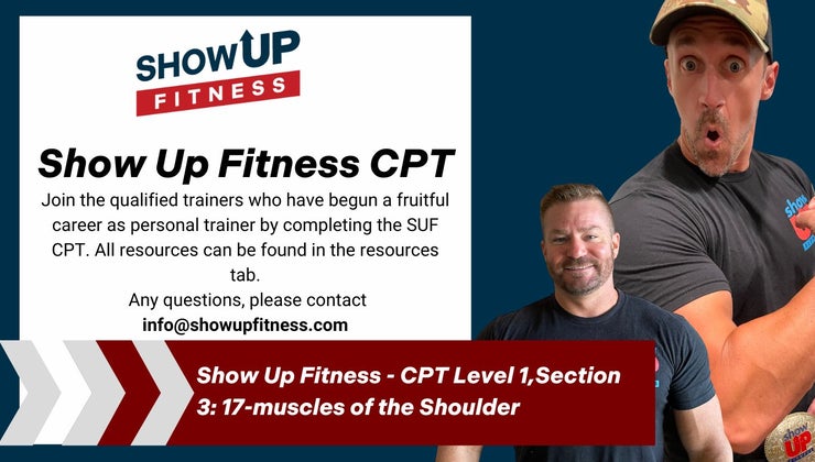 17-Muscles of the Shoulder