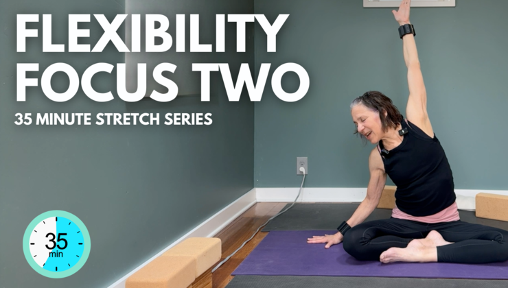 Flexibility Focus | The Elevate Practice