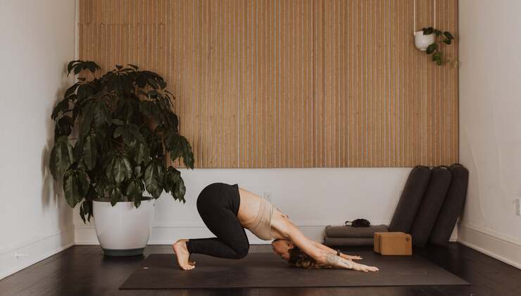 September 4 | 45-min. Honey Flow x Fluid Spine Practice | The ...