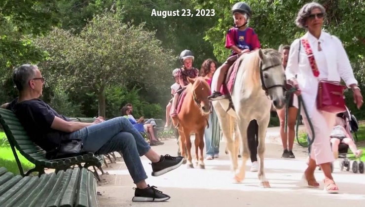 Pony Ride Ban | WORLD Watch Schools