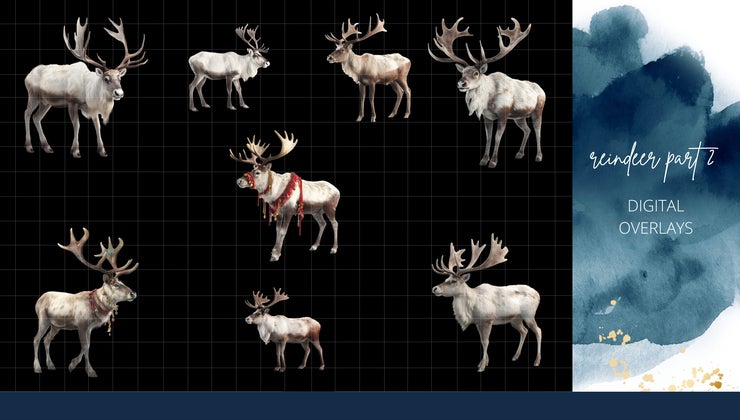 Reindeer Digital Overlays Part 2