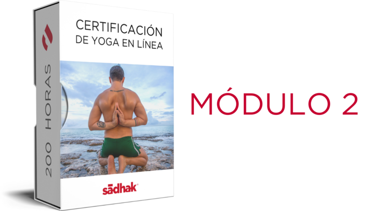 Módulo 2 | Certificación de yoga en línea 200 horas