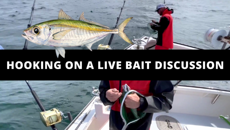 Hooking On A Live Bait Discussion | The Crew Platform