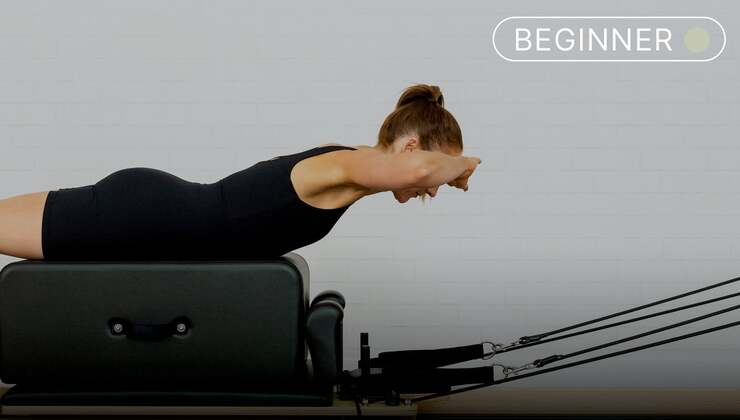 Beginner Full Body 12