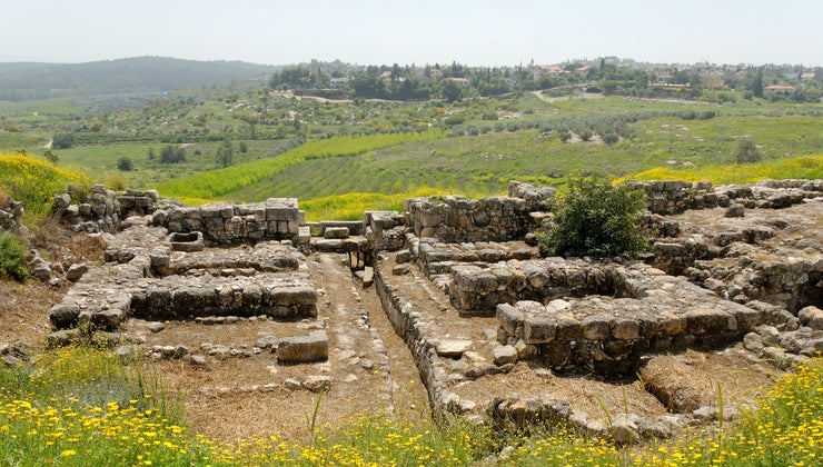 Week 24 | Day 1 - Old Testament Reading