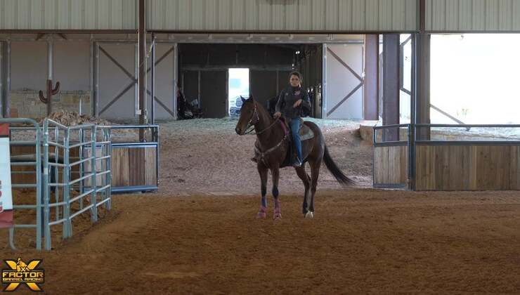 3 Scamper Cole Talks About The Importance In A Horse Being Comfortable ...