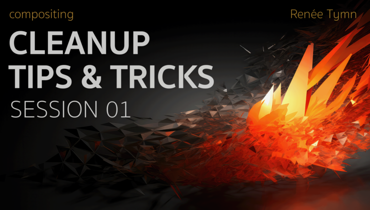 Cleanup Tips and Tricks with Renée Tymn: Session 1
